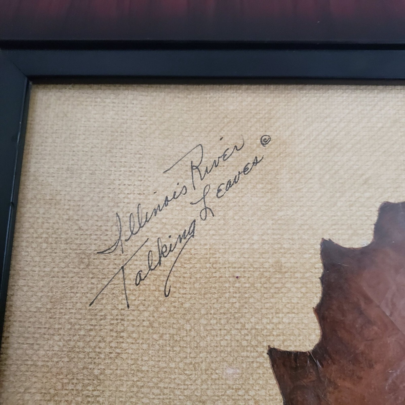 Illinois River Talking Leaves American Encore Buffalo Jo Ann Tinning ...