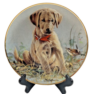 Yellow Labrador Retriever collectors plate 8" EYE TO EYE Franklin Mint ...
