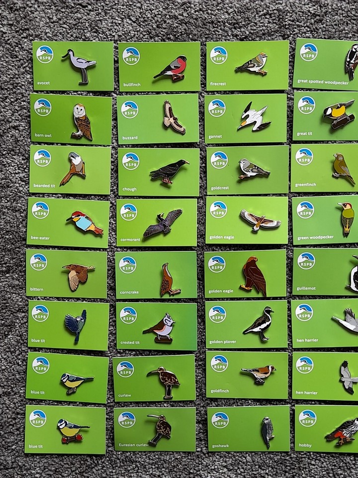 78 RSPB Full Set Of NIIC Bird Charity Pin Badges | eBay UK