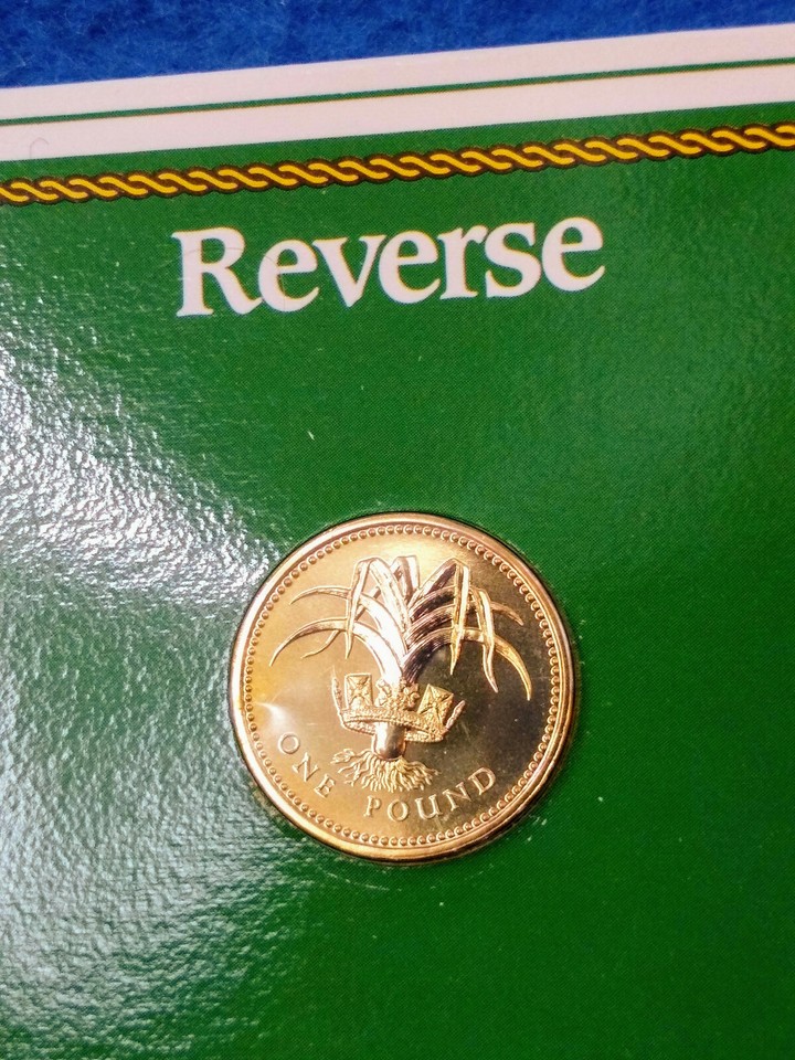 1985 Welsh Leek £1 One Pound Brilliant Uncirculated Coin Pack KM 941 ...