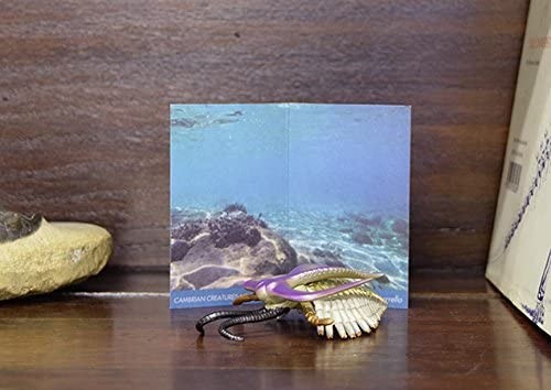 Cambrian Creatures Marrella Prehistoric Life Real Mini Figurine ...