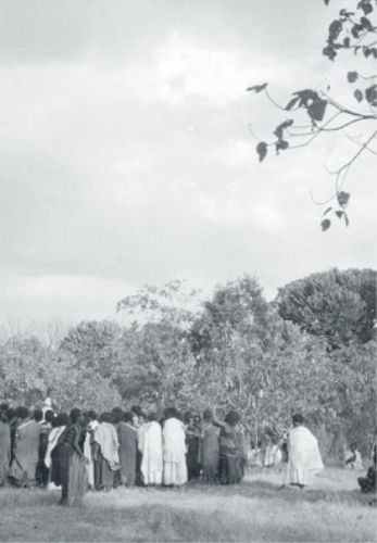 The Sidaama (Poche) Southern Ethiopian Studies at the Frobenius ...