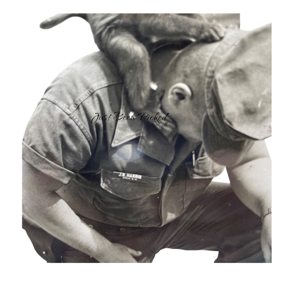 1967 Major / Lt Colonel J Harris Monkey 5x7 Photo USMC Marines Vietnam ...