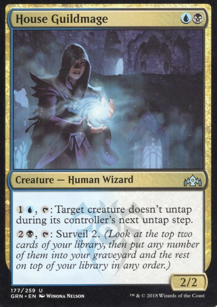 2X HOUSE GUILDMAGE 177/259 GUILDS OF RAVNICA MTG MAGIC NM X2 | eBay
