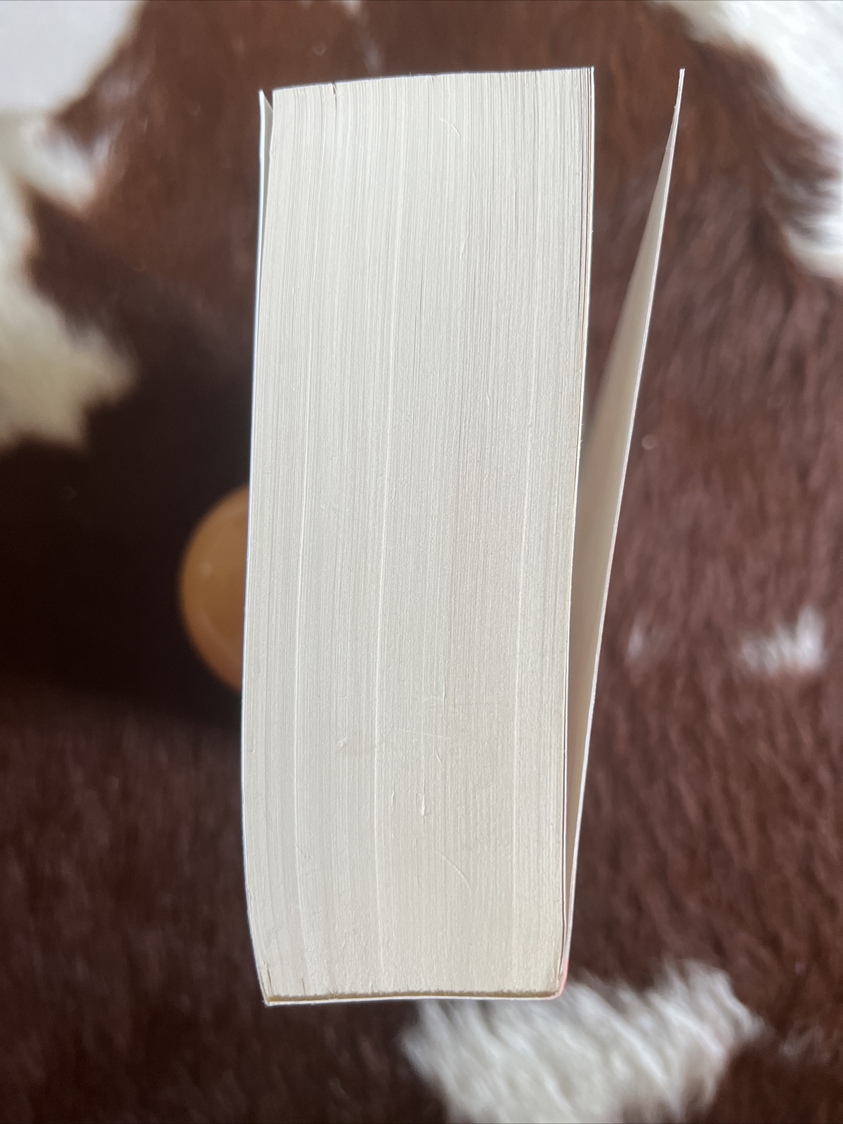 The Machiavellian Moment by J G A Pocock - Princeton University ...