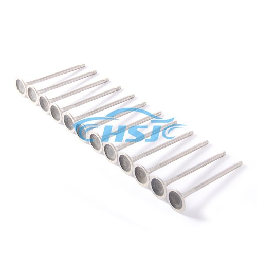 12* 6mm 3.0 Exhaust Valves Kit Fit For BMW 328i 528i X5 Z4 11347553772 ...