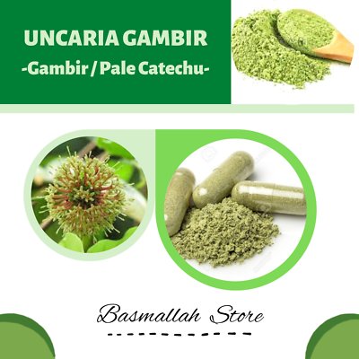 CAPSULES Gambir Pale Catechu Uncaria Gambir Organic WildCrafted Fresh ...