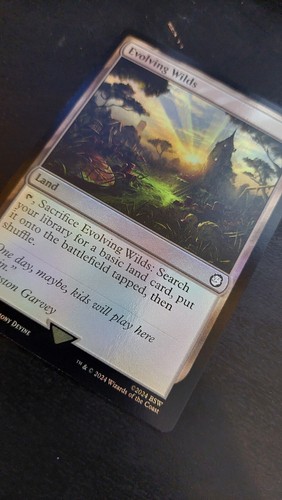 Evolving Wilds 263 foil Magic the Gathering card | eBay