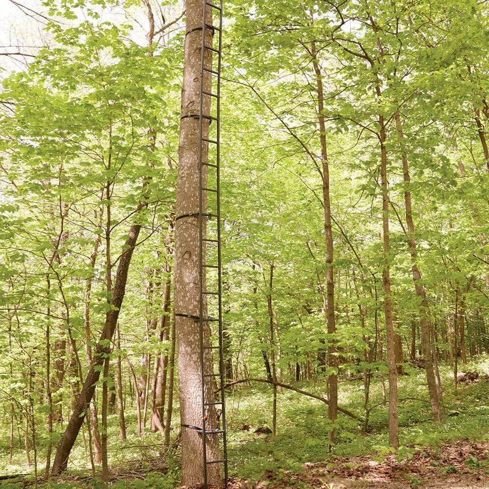 20' Tall Climb Tree Stand Ladder Deer Outdoor Hunting Climbing Stick ...