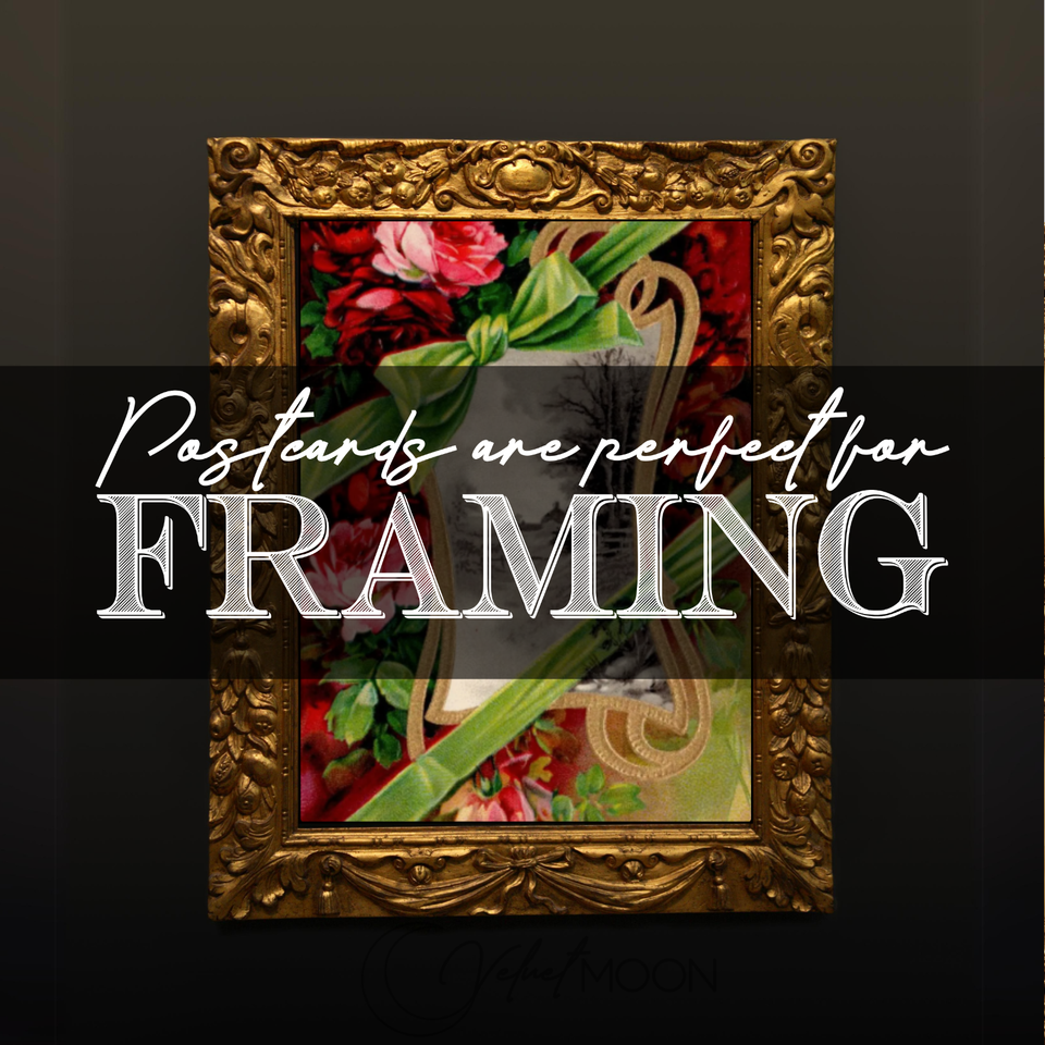 c1950 Books of the Bible Postcard Religious Illustration Protestant ...