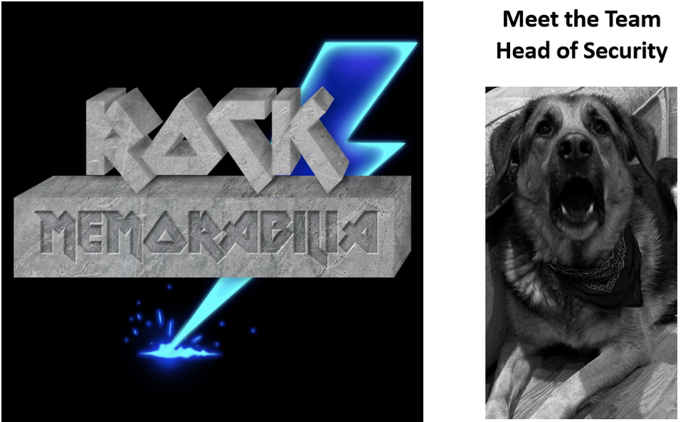 Andy Timmons Guitar Pick Stage Used Danger Original Plectrum | eBay