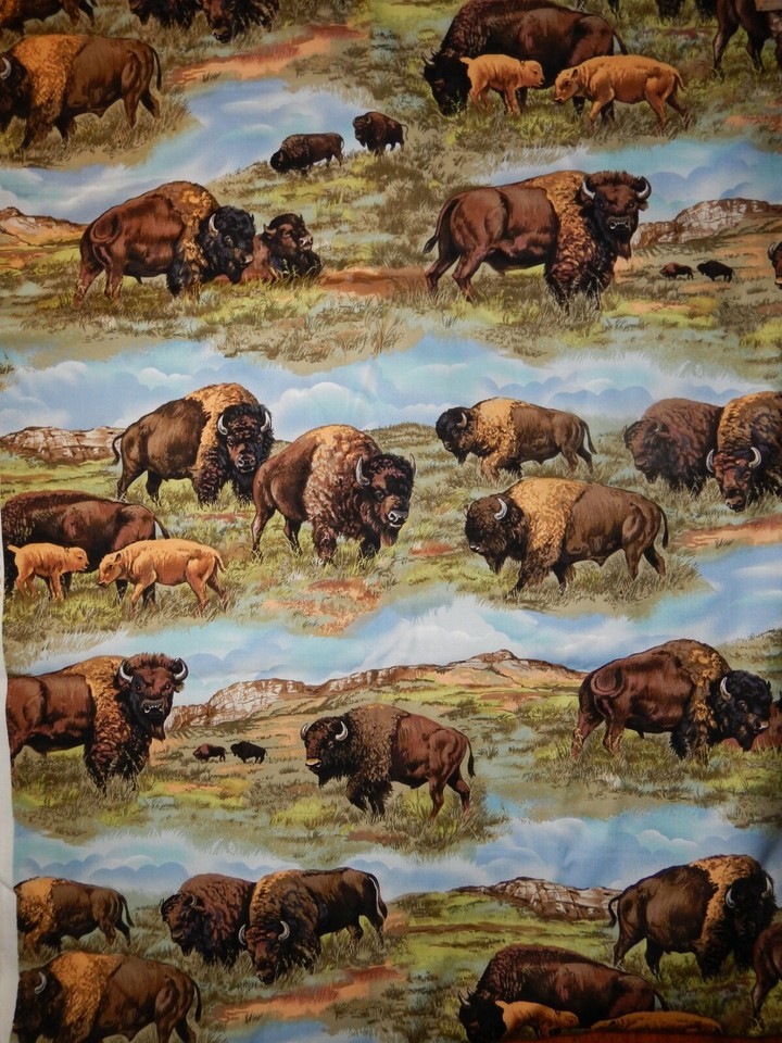 Northern Journey (Bison) Quilt Kit by Adrienna Yorinks - ~11 yards ...