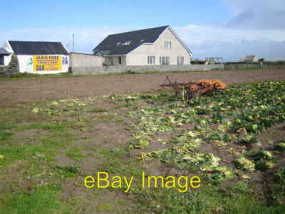 Photo 6x4 Candiha: Cabbages and windsurfing Fahamore The two main ...
