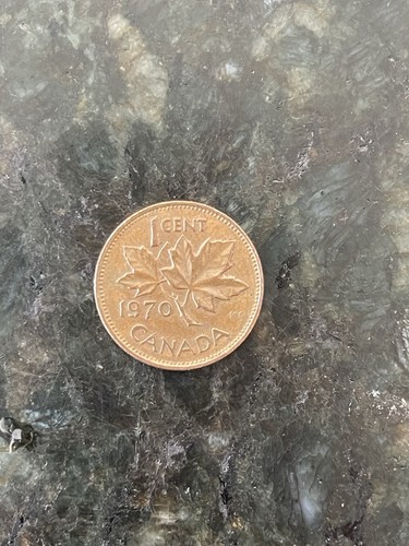 RARE 1970 Canadian Penny (READ DESCRIPTION) | eBay