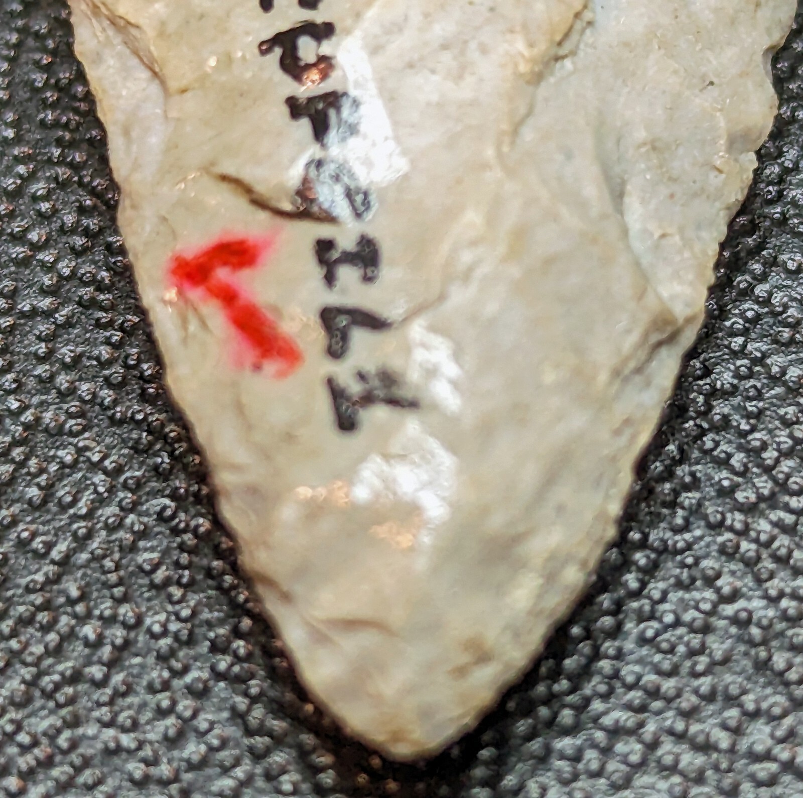 Plainview/Dalton Arrowhead G9 C.O.A., Late Paleo, 10150 - 9000 B.P ...