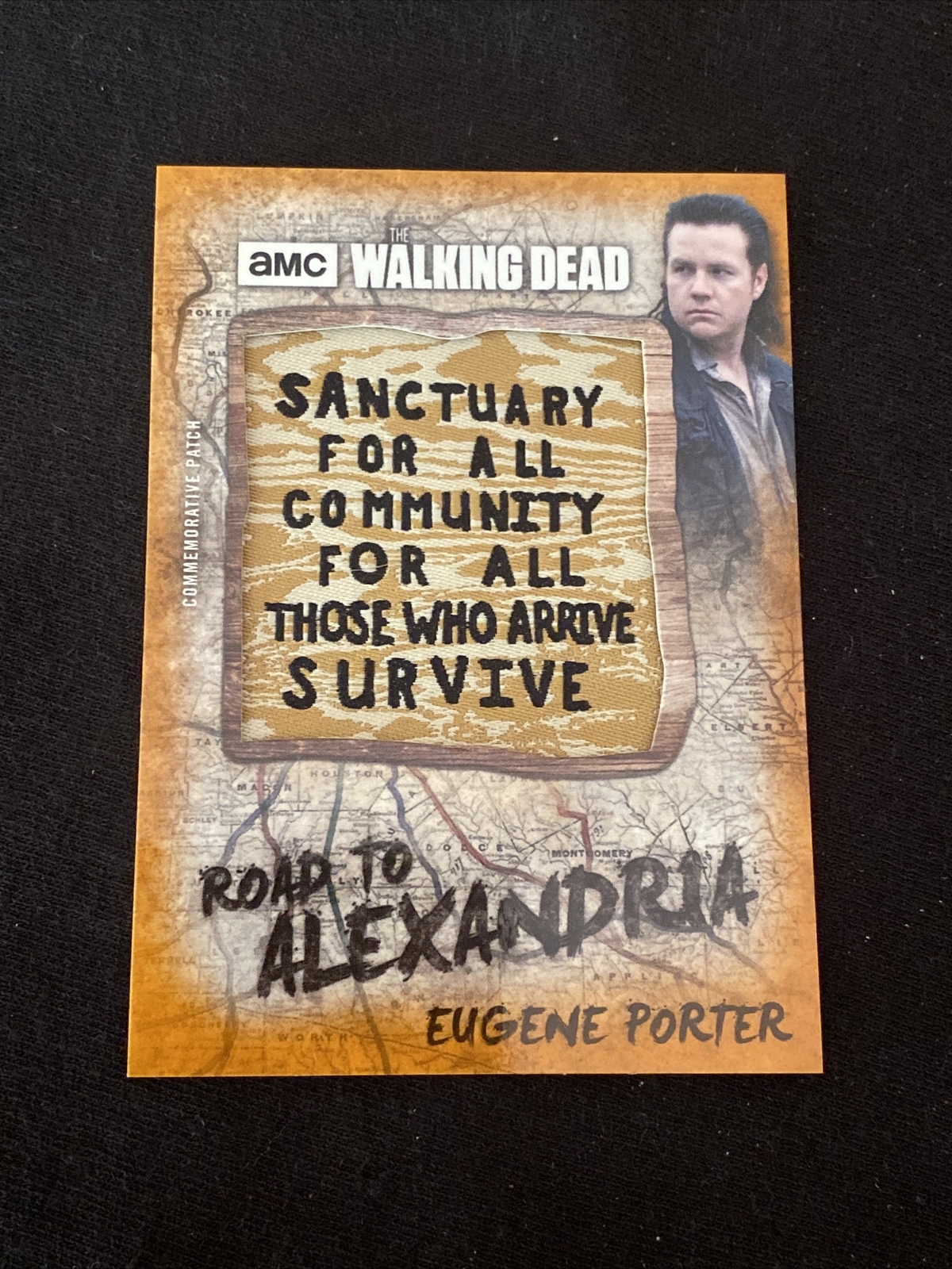 The Walking Dead Road To Alexandria Sanctuary Patch P-JM Eugene Porter Rust /99 | eBay