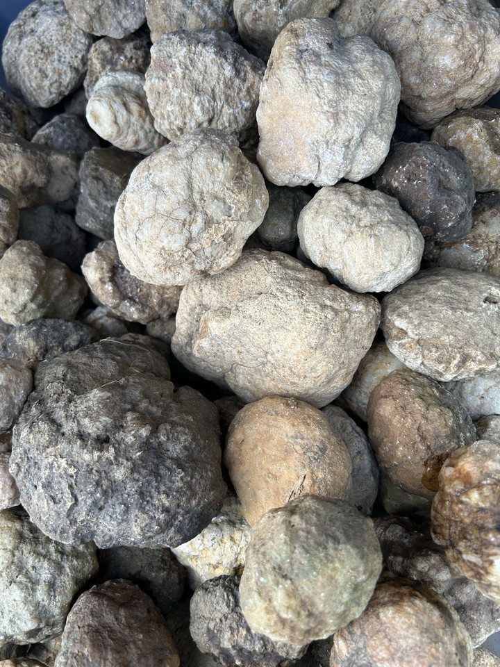 Unopened Geodes/Nodules Natural Semi Solid - Bulk Lot 2LB. Break You ...