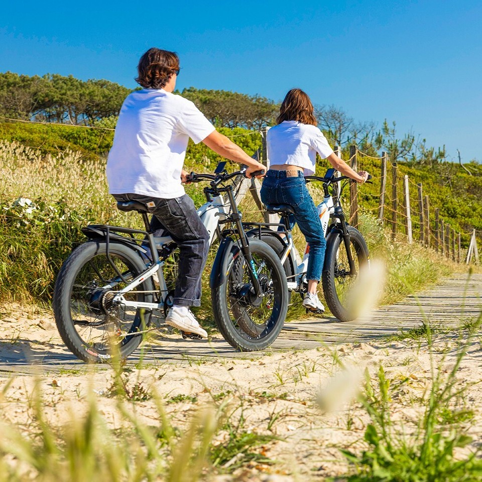 26'' Daul Shock EBike Full Suspension Mountain Bike 2000W 840WH Moped ...