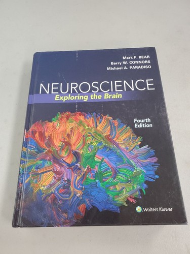 Neuroscience Exploring the Brain Fourth Edition Bear Connors Paradiso ...