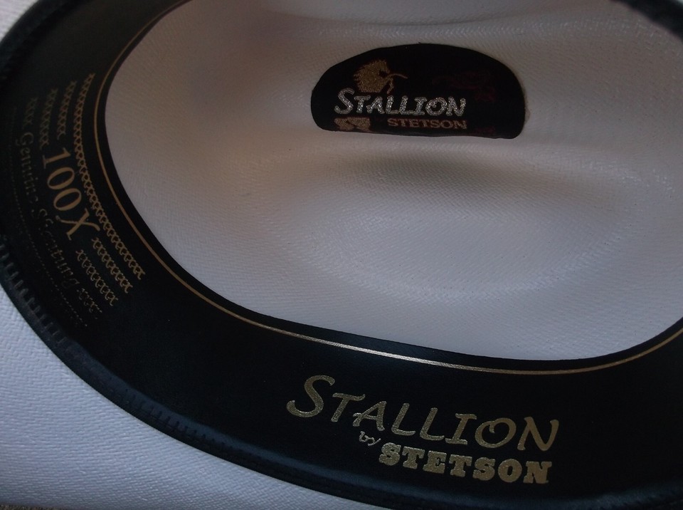 Stallion by Stetson 100X Genuine Shantung Straw Cowboy Hat size 6-7/8 ...