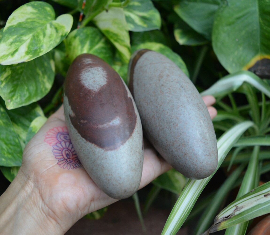 5" Shiva Lingam Stone Narmada River India Pure & Rare Excellent Lingam ...