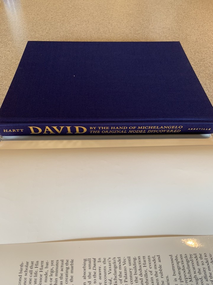 DAVID BY THE HAND OF MICHELANGELO By Frederick Hartt - Hardcover *VG ...
