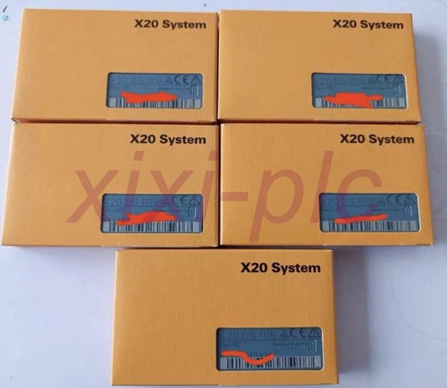 1 pcs NEW B&R X20DS1119 module FedEx DHL shipping | eBay