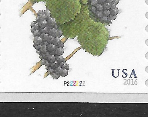 NEW PLATE NUMBER!!--PNC 5 Scott #5038, 2c Grapes, Plate #P222222, F-VF ...