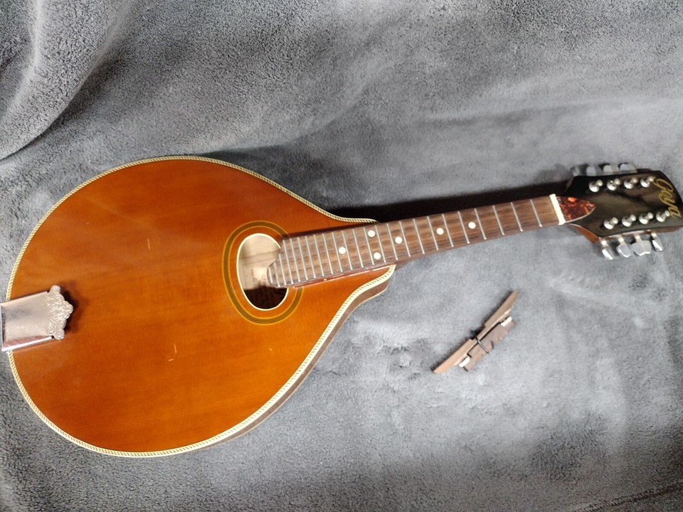 Goya Mandolin C F Martin Vintage Solid Bridge Body Old Estate Find OS ...