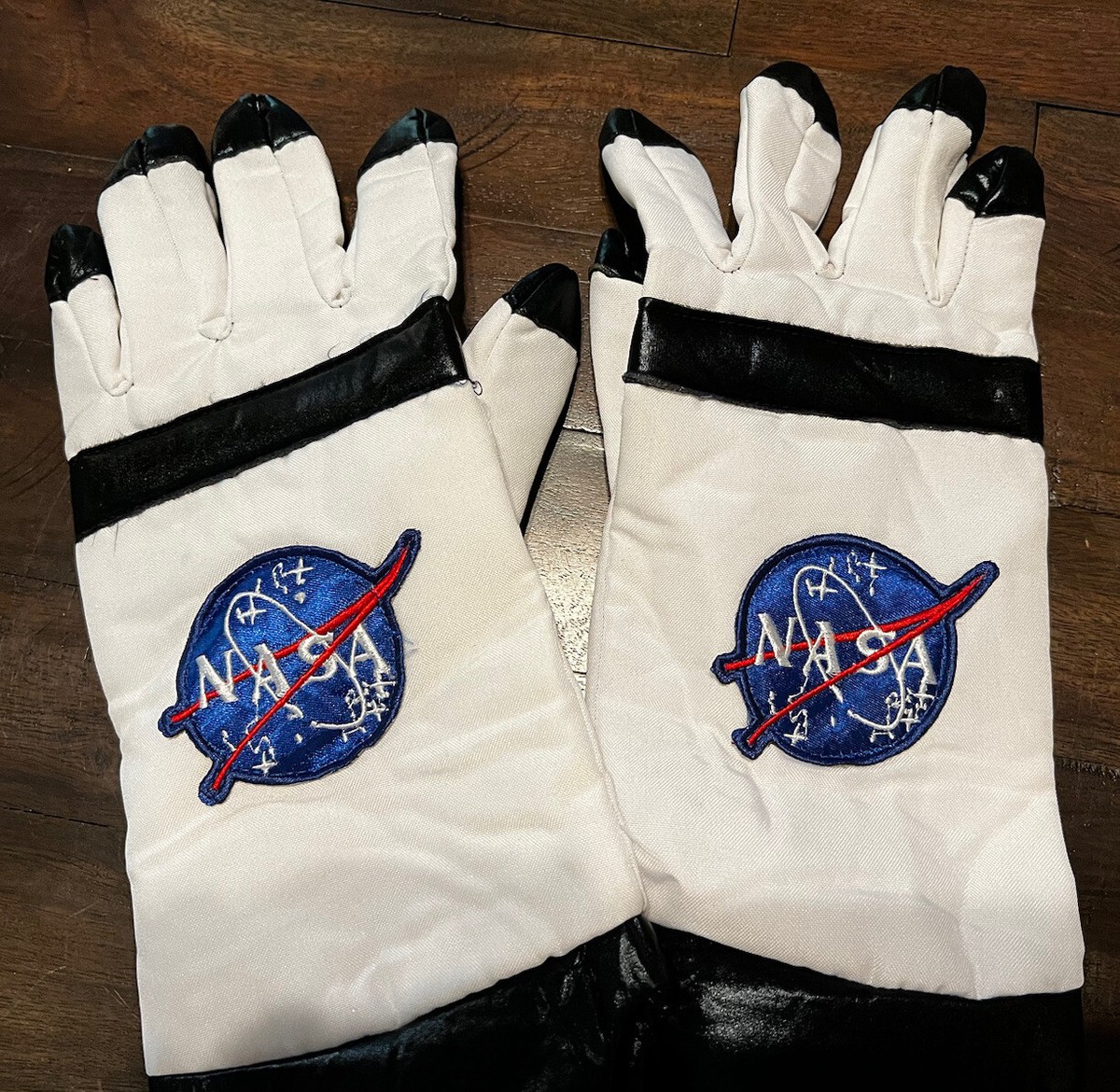 Astronaut Space Gloves