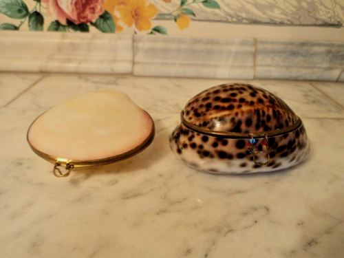 Vintage Sea shell Hinged Trinket Box mother of pearl | eBay