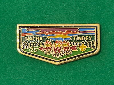 Boy Scout OA 25 Nacha Tindey Lodge Flap Hat Pin | eBay