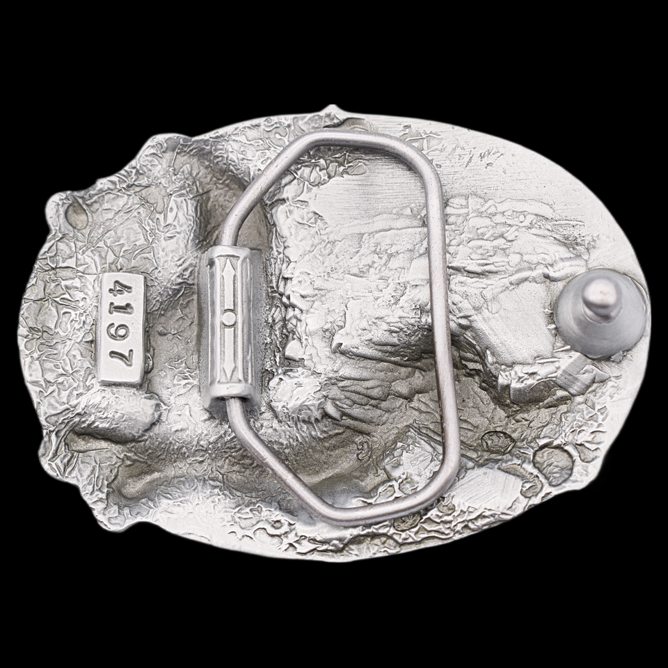 Wizard Dragon Orb Staff Fantasy Magic Scene Belt Buckle | eBay