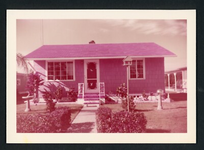 Pink Suburban Ranch House Spring Green Yard Photo 1950s Americana ...