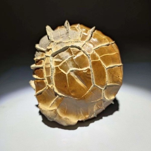 China Natural stone "tortoise back pattern" stone Moire stone 070101 | eBay