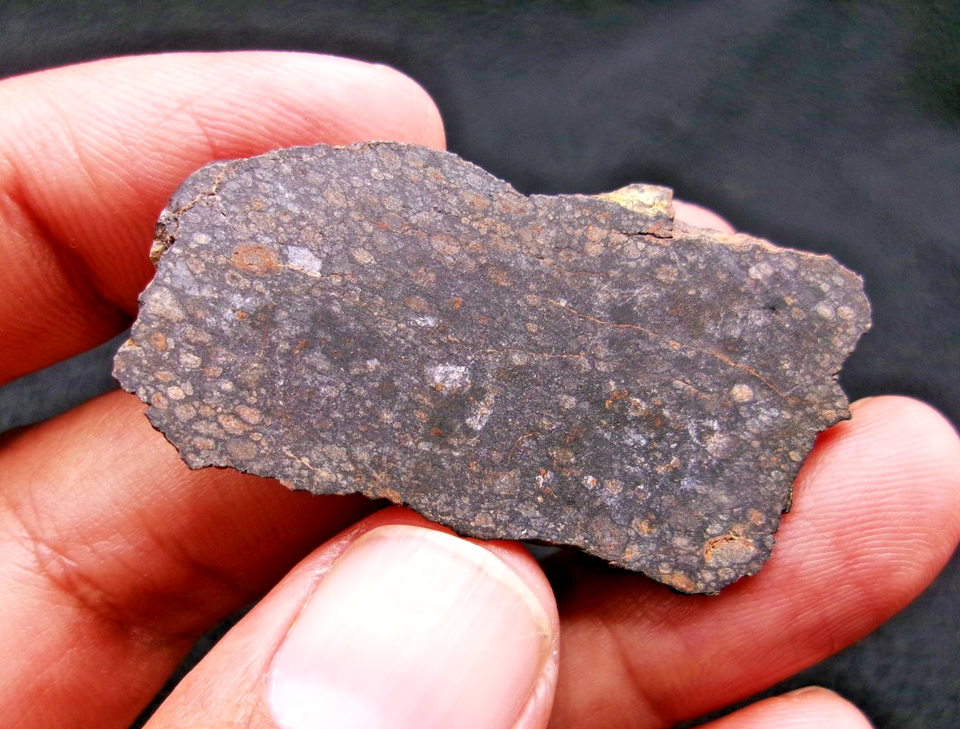 13.09 g - NWA 4502 - CVox3 Carbonaceous Meteorite - Tons of Chondrules ...