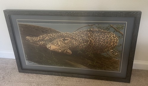 Andrew Bone Leopard " Silent Stalker" signed Framed Limited Edition 339 ...