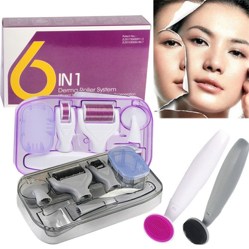 Dermaroller 6 in 1 Set: 12, 300, 720 & 1200 Nadeln / Anti Aging ...
