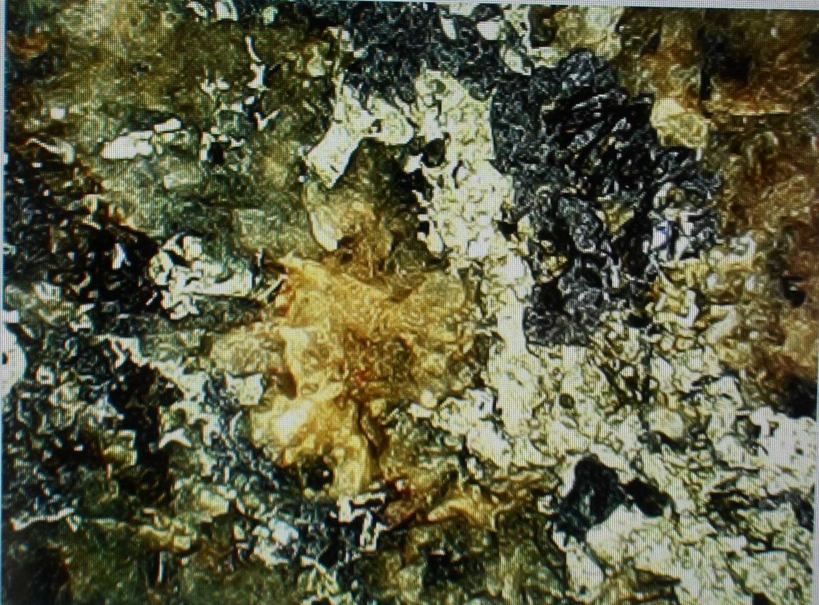 Gold Silver Ore Golden Quartz 1800s Ore Knob Copper Mine North Carolina ...