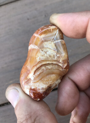 Agate Washington State Striped Agate Carnelian 49 Grams Beautiful Hand ...