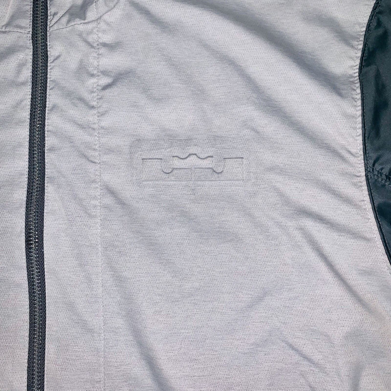 Rare Vintage Nike Lebron James Varsity Jacket Light C… - Gem