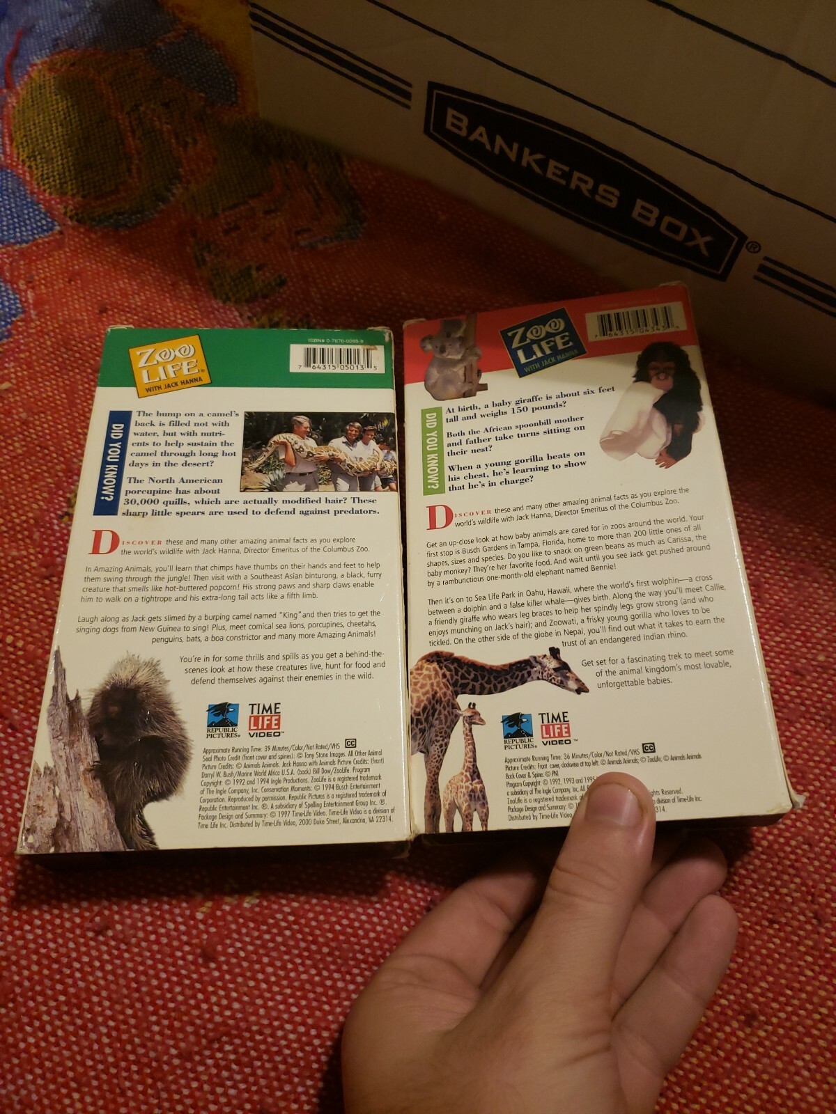 VHS Zoo Life With Jack Hanna lot Of 2 Tapes Amazing Animals/Bonkers for ...