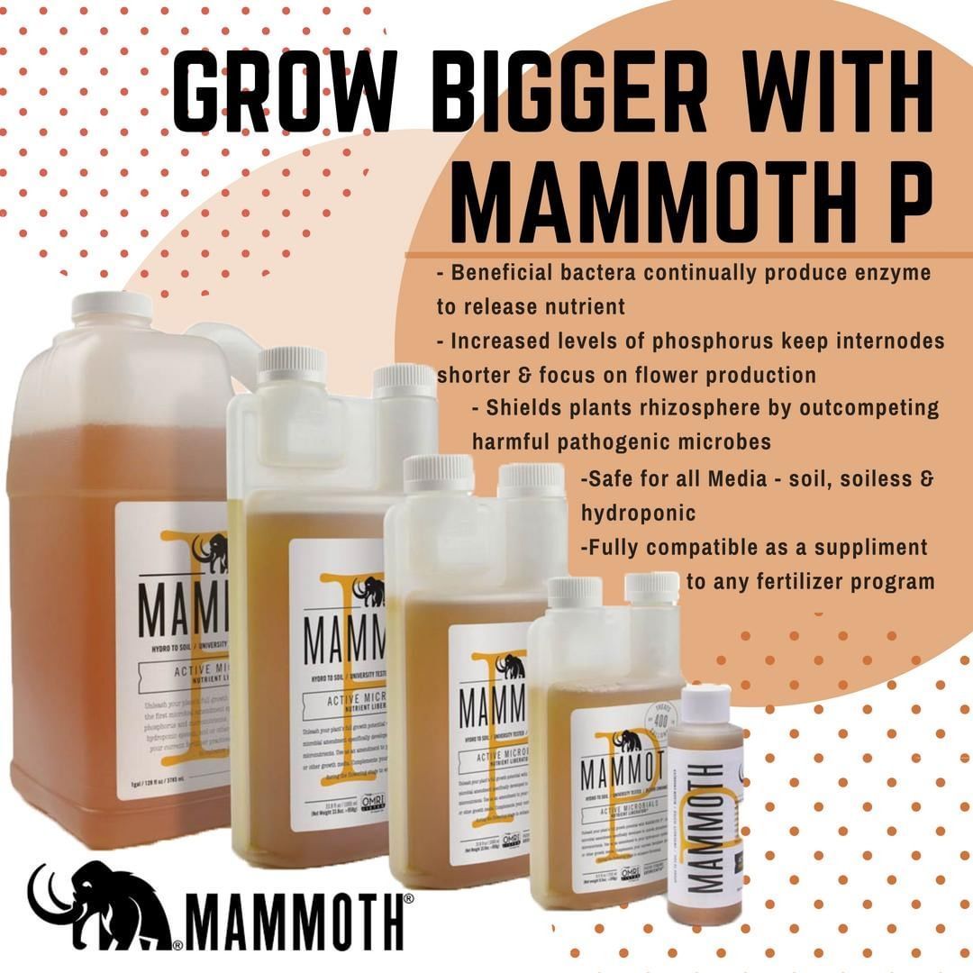 Mammoth P Microbes Active Microbial Phosphorus Bloom Booster Nutrient ...