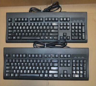 Lot of 2 Wyse USB Keyboard KU-8933 901716-06L Black | eBay