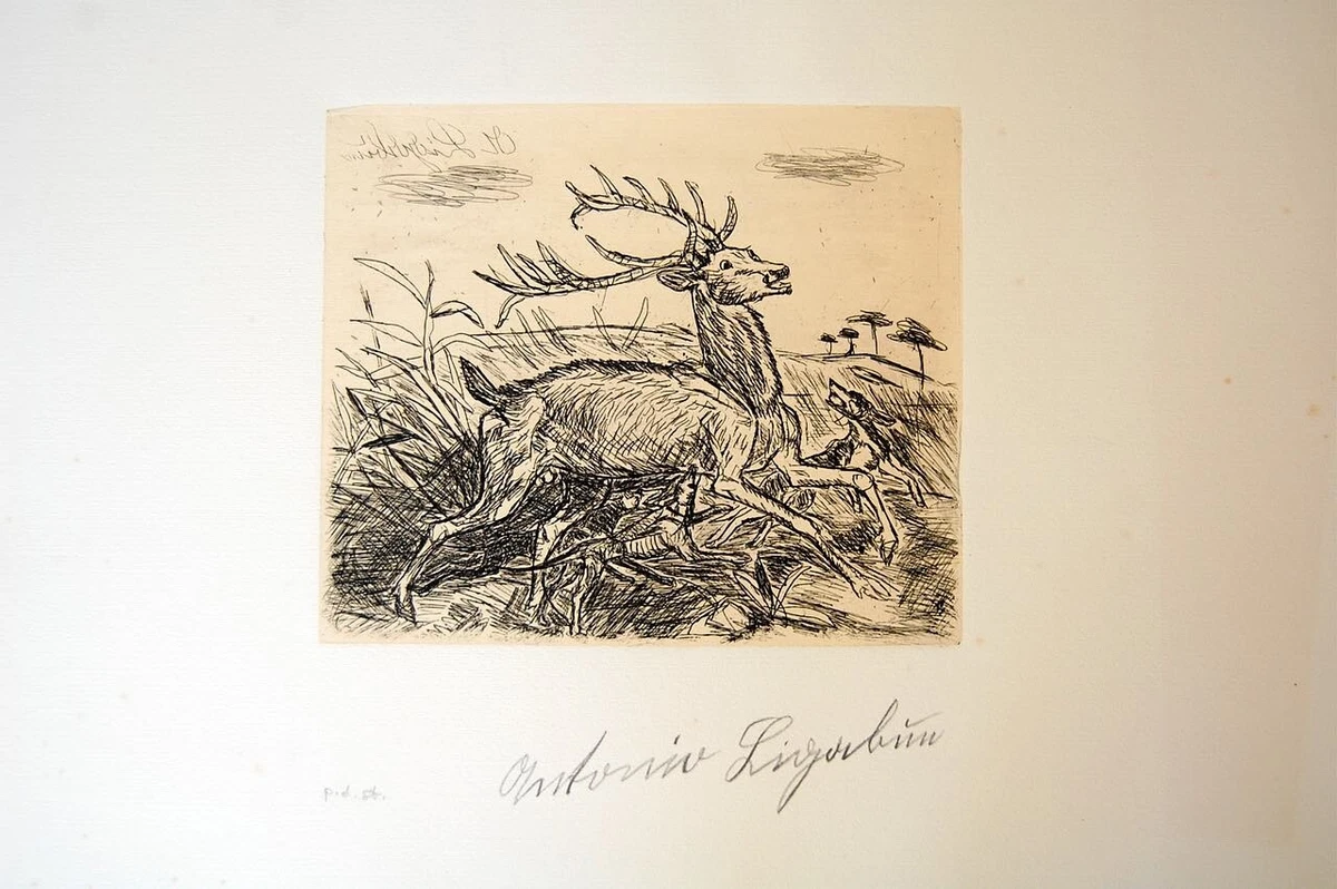 Disegni Di Caccia Al Cervo