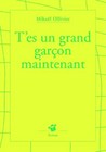 T'ES UN GRAND GARÇON MAINTENANT (French) Paperback | eBay