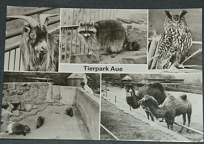 52316 Ak Zoo Aue les Chèvres Naines Raton Laveur Uhu Porc-épic Tulus | eBay