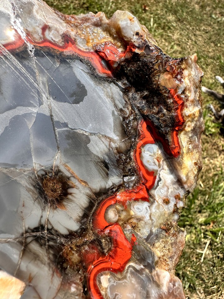 6 1/2 INCHES__Beautiful Imperial Kentucky Agate Slab from Estill County ...