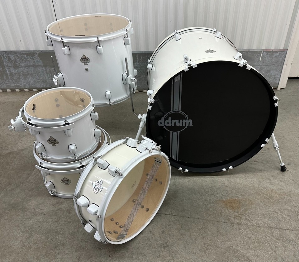 ddrum 5Pc Drum Set Shell Pack Kit Diablo White / White | eBay
