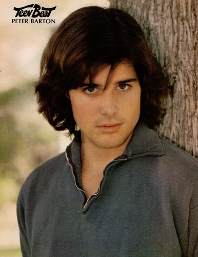 Peter Barton pinup Young and the Restless Teen Beat clipping cutting | eBay